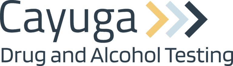 Member Directory - Cayuga County Chamber of Commerce | Auburn, NY